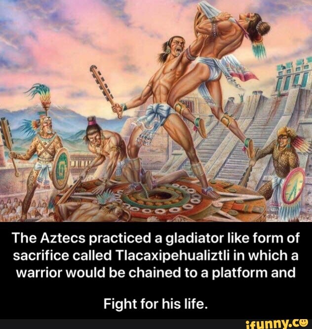 The Aztecs practiced a gladiator like form of sacrifice called ...