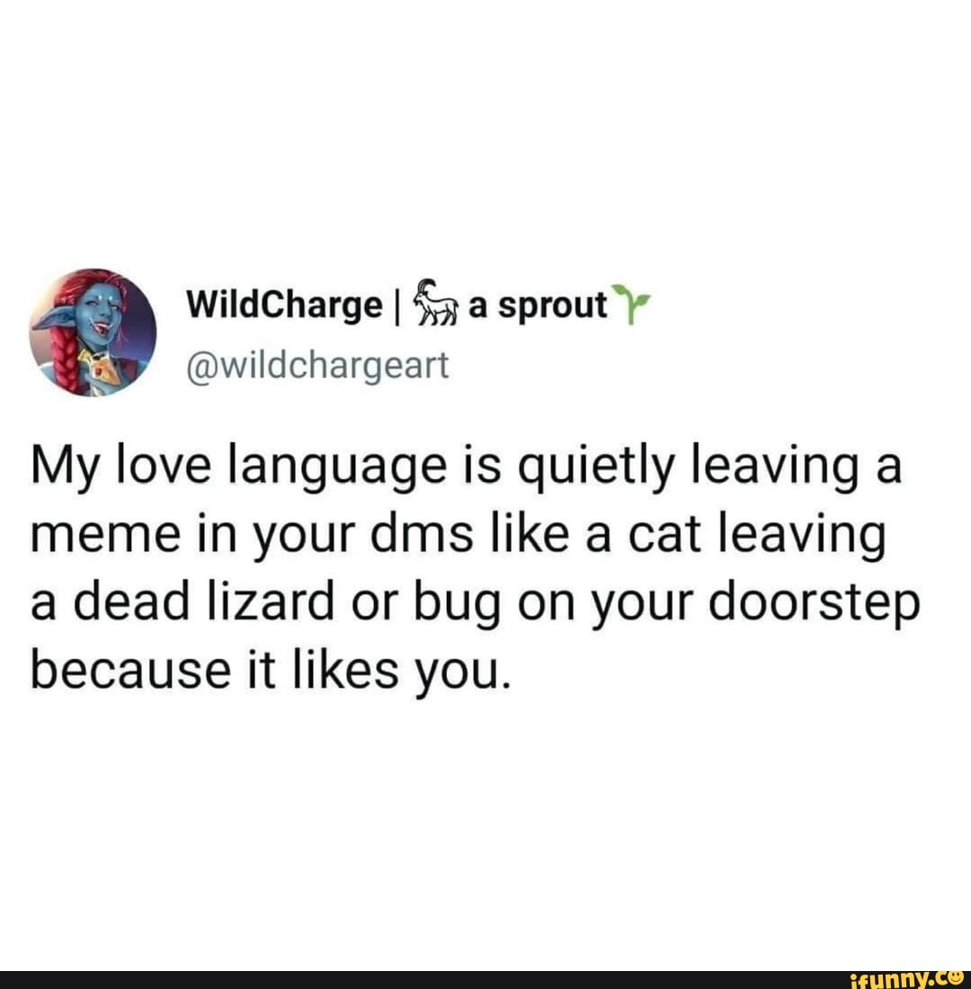 My love language is quietly leaving a meme in your dms like a cat ...