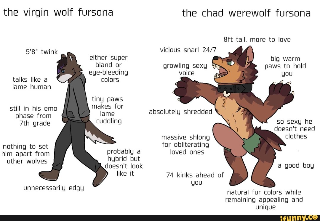 The virgin wolf fursona the chad werewolf fursona Sit tall, more to ...