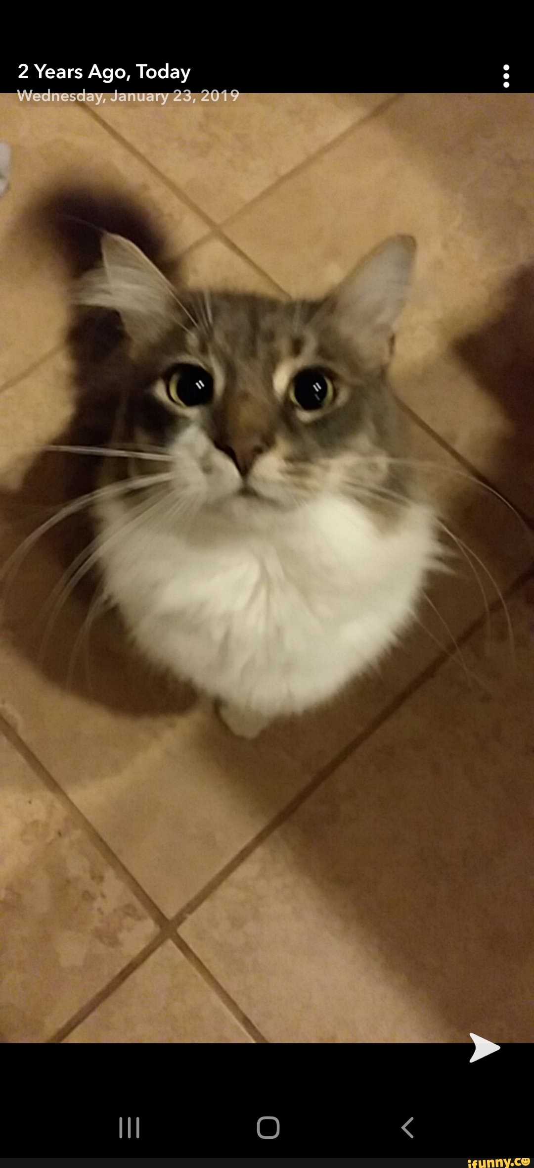 Fathead memes. Best Collection of funny Fathead pictures on iFunny