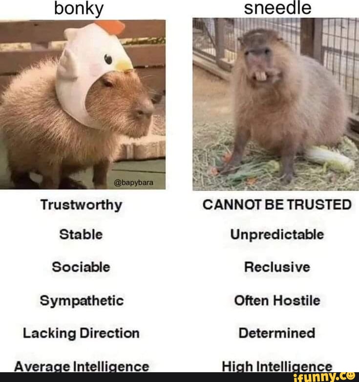 Determined memes. Best Collection of funny Determined pictures on iFunny