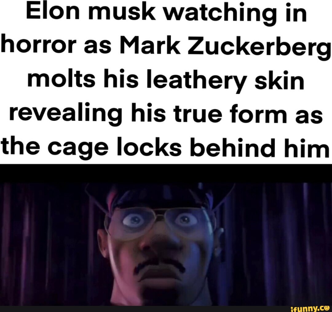 Elon musk watching in horror as Mark Zuckerberg molts his leathery skin ...