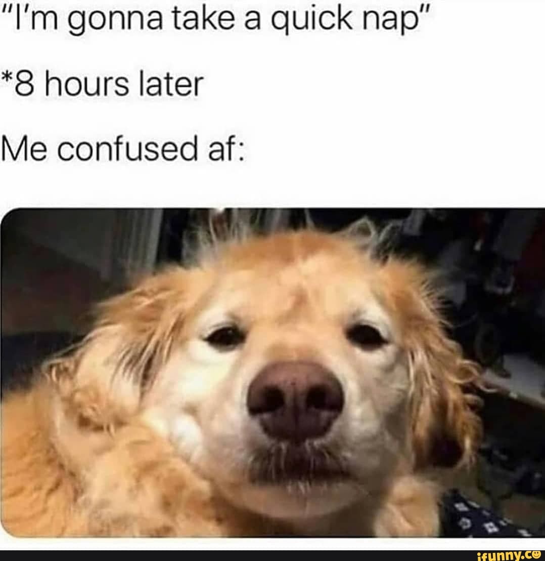"I'm gonna take a quick nap" *8 hours later Me confused af: - iFunny