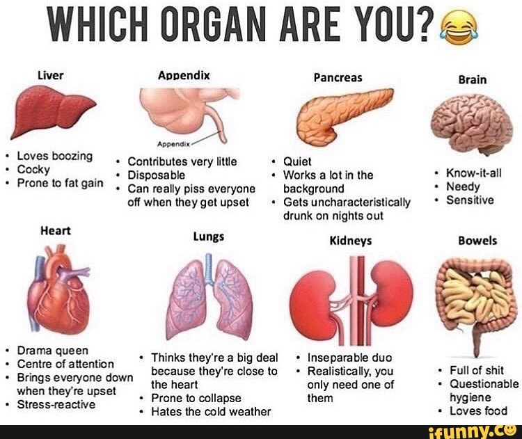 Anatomyandphysiology memes. Best Collection of funny ...