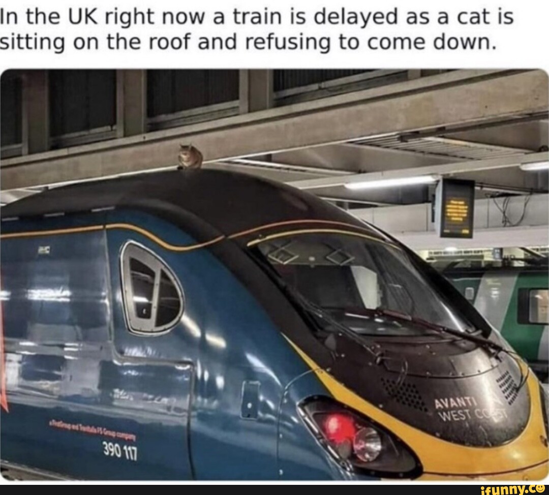 In the UK right now a train is delayed as a cat is sitting on the roof ...