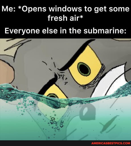 Me: *Opens windows to get some fresh air* Everyone else in the ...