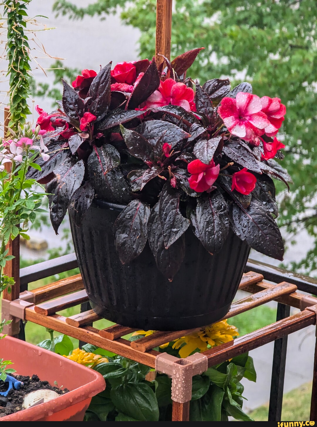 Impatient memes. Best Collection of funny Impatient pictures on iFunny