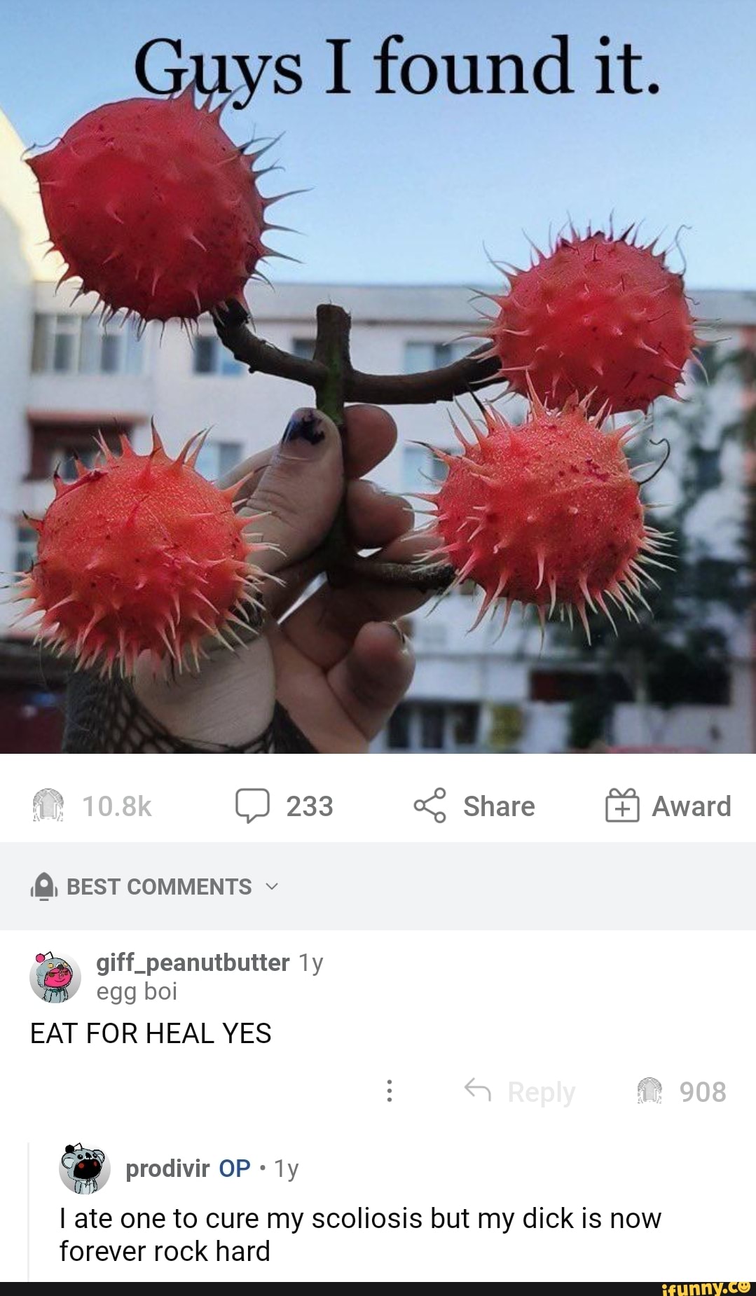 Roka memes. Best Collection of funny Roka pictures on iFunny