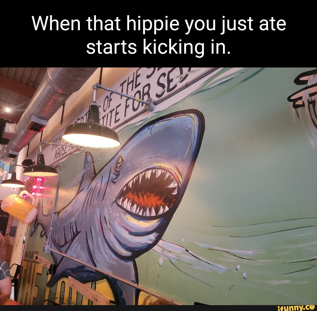 Hippie memes. Best Collection of funny Hippie pictures on iFunny
