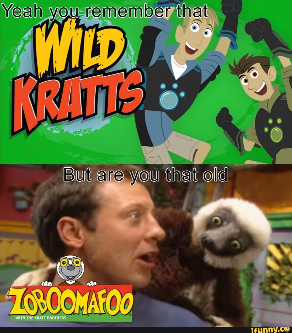 Yeah you remember tl that But are you that old - iFunny