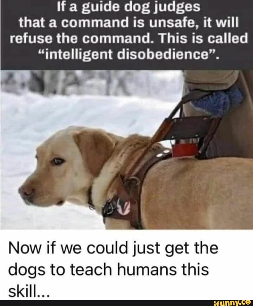 If a guide dog judges that a command is unsafe, it will refuse the ...
