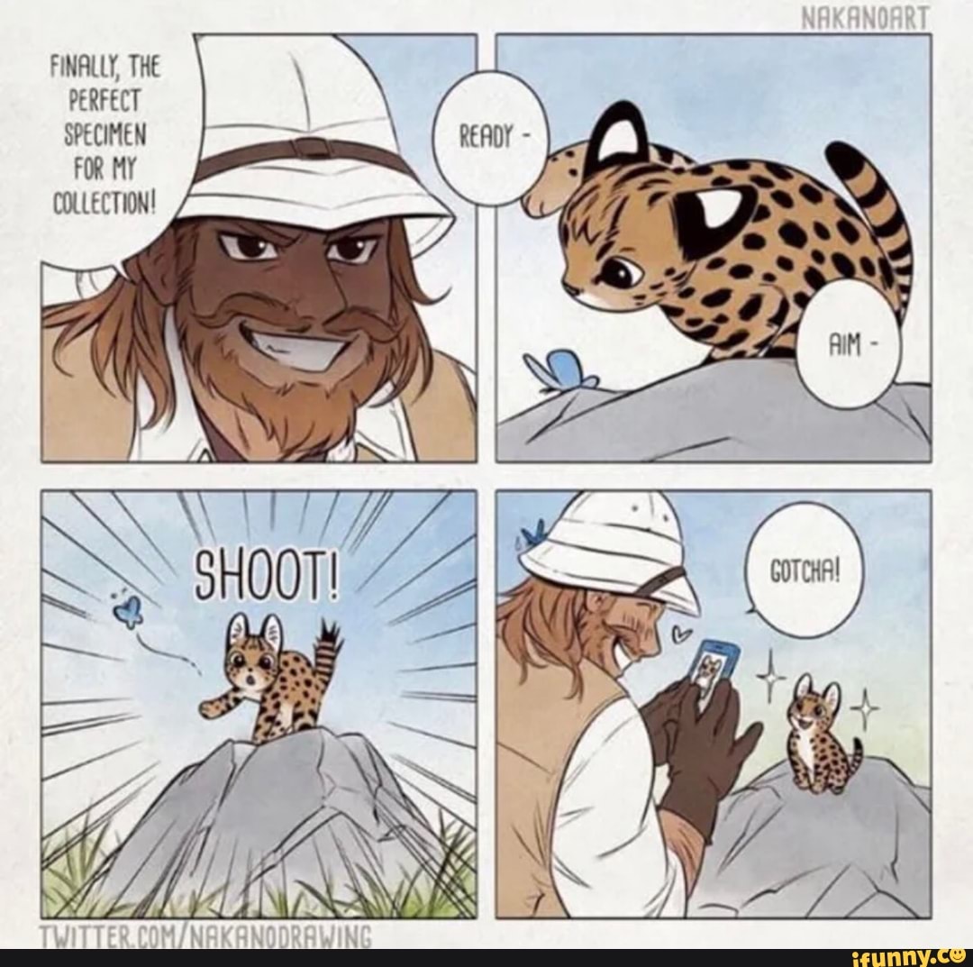 FINALLY, THE PERFECT SPECIMEN FOR MY COLLECTION! - iFunny