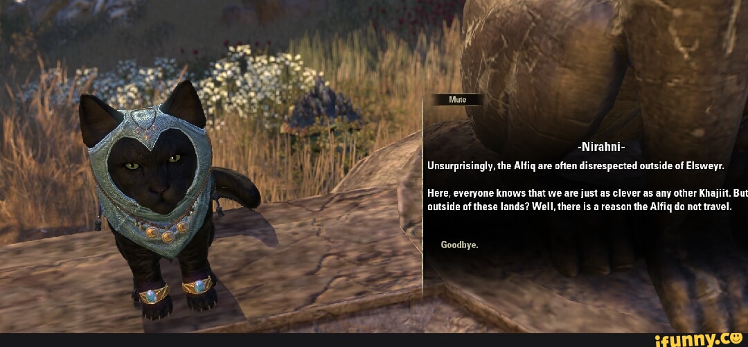 Elsweyr memes. Best Collection of funny Elsweyr pictures on iFunny