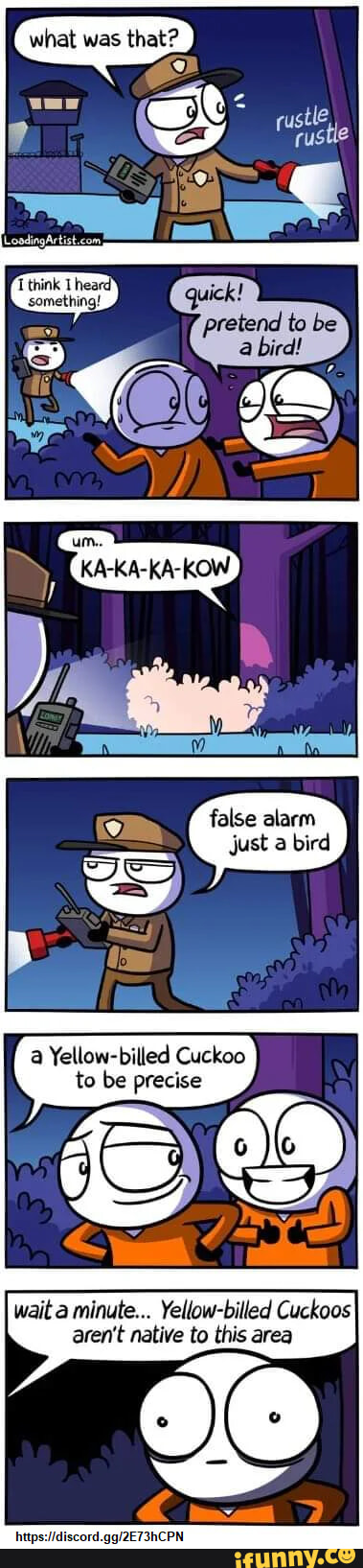 Cuckoo memes. Best Collection of funny Cuckoo pictures on iFunny