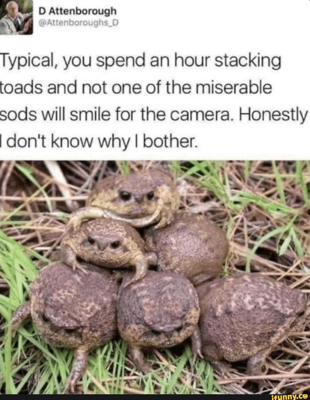 Attenborough Typical, you spend an hour stacking toads and not one of the miserable sods will ...