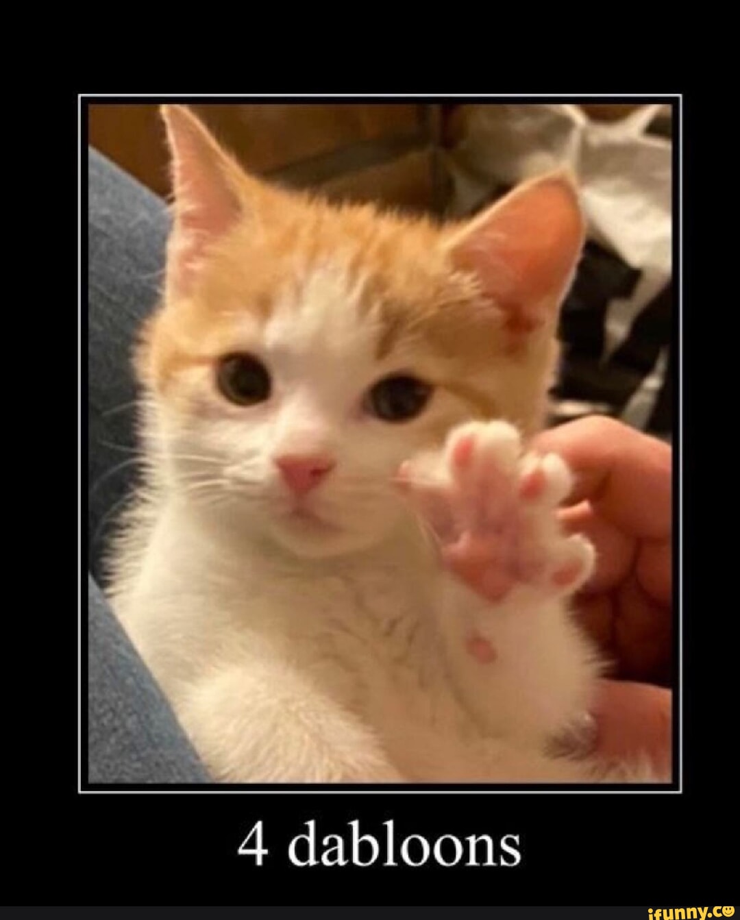 Dabloons memes. Best Collection of funny Dabloons pictures on iFunny