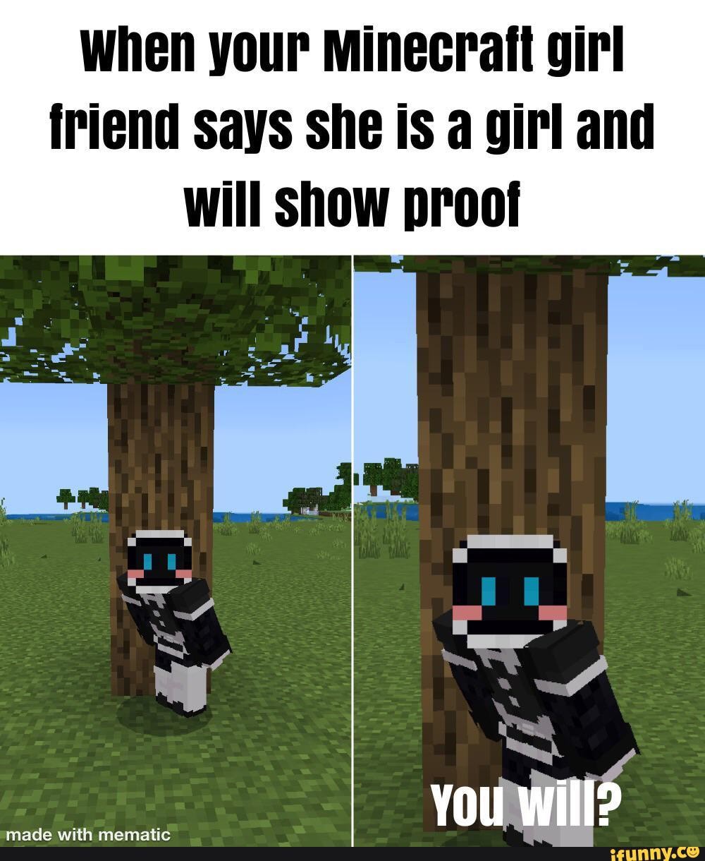 When your Minecratt girl friend says she is a girl and will show proot ...