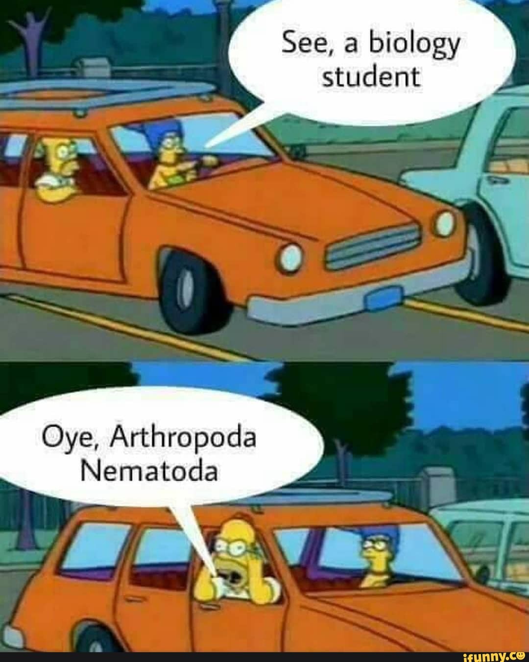 See, a biology student Oye, Arthropoda Nematoda - iFunny