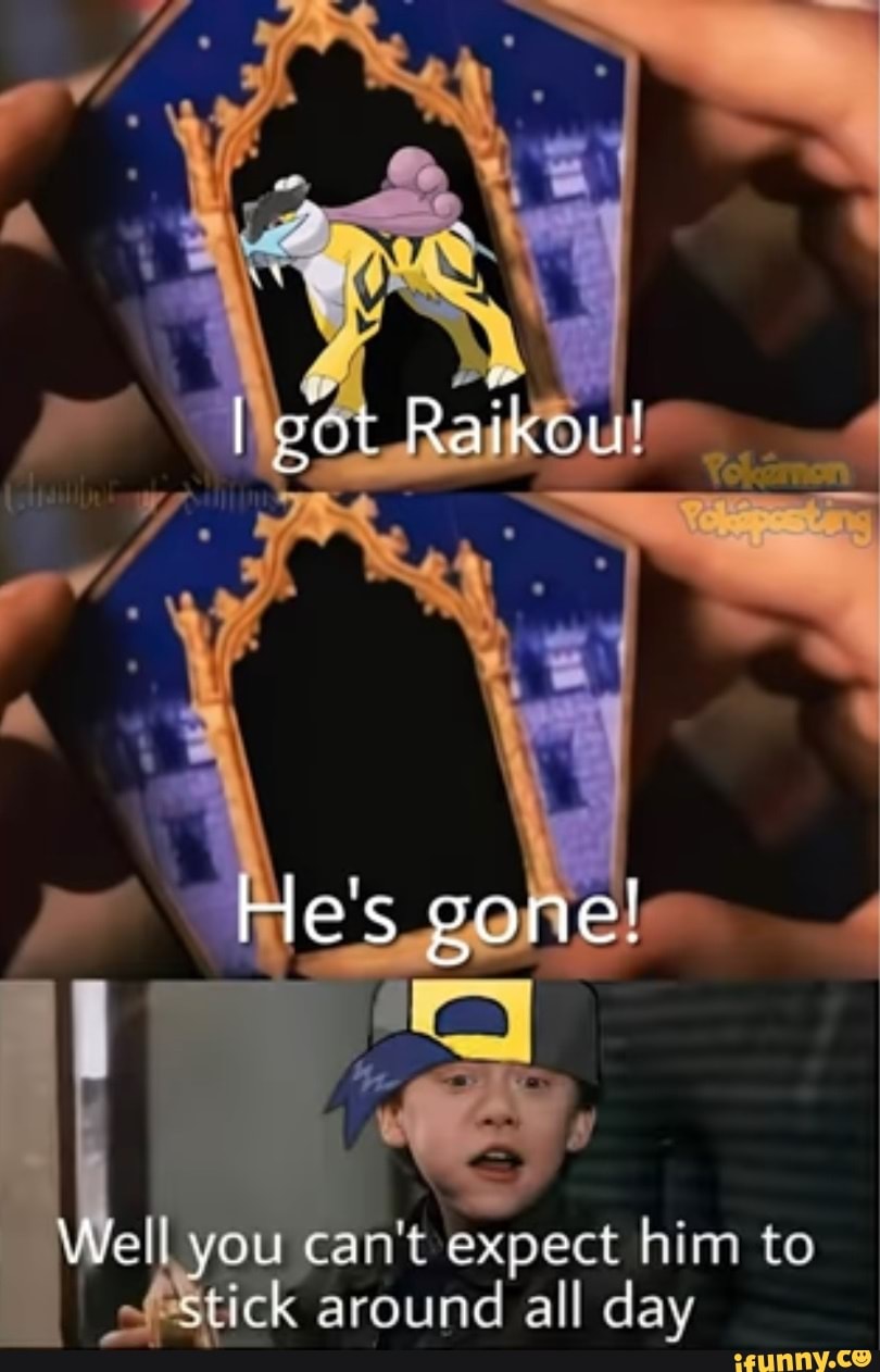 Raikou memes. Best Collection of funny Raikou pictures on iFunny