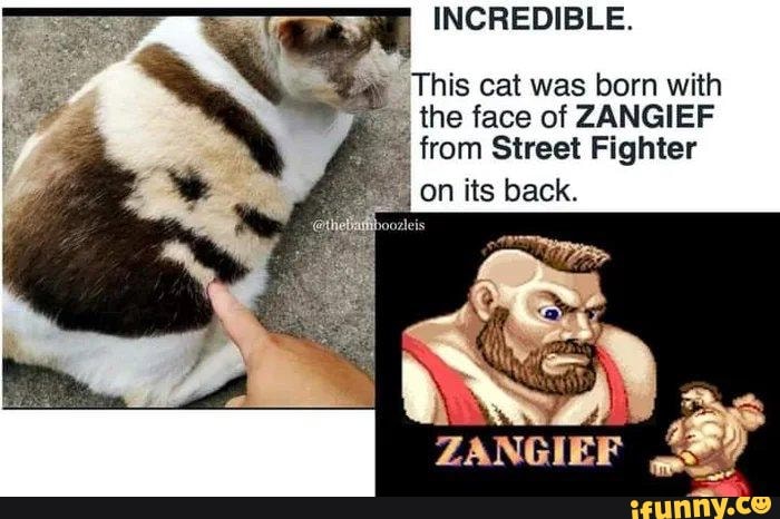 Zangief memes. Best Collection of funny Zangief pictures on iFunny