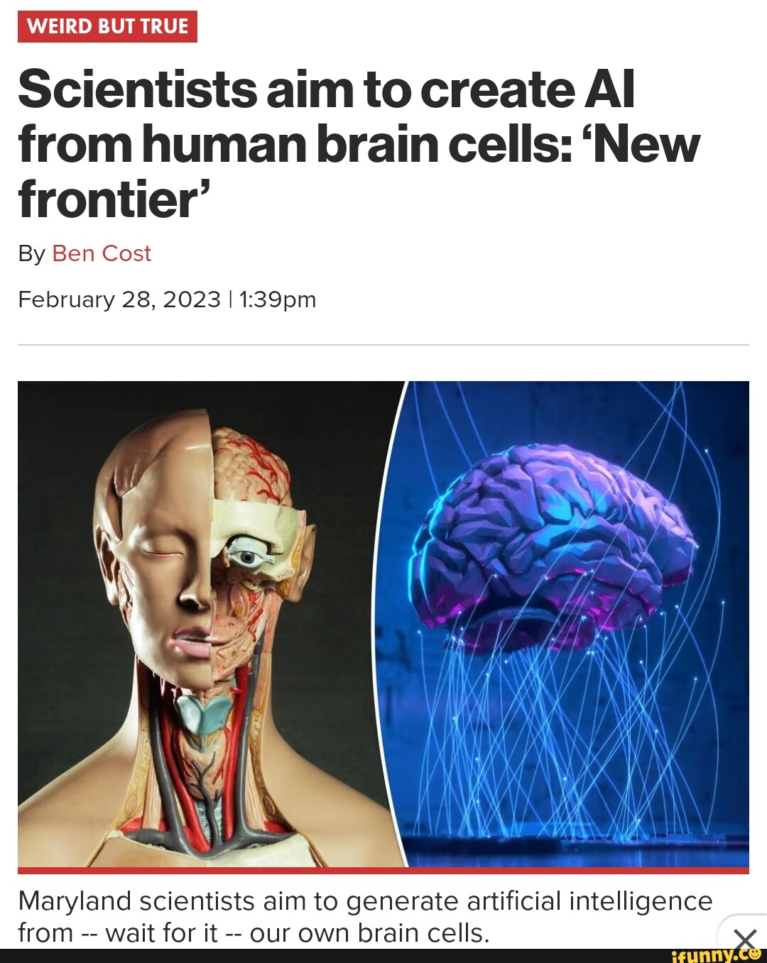 WEIRD BUT TRUE Scientists aim to create Al from human brain cells: 'New ...