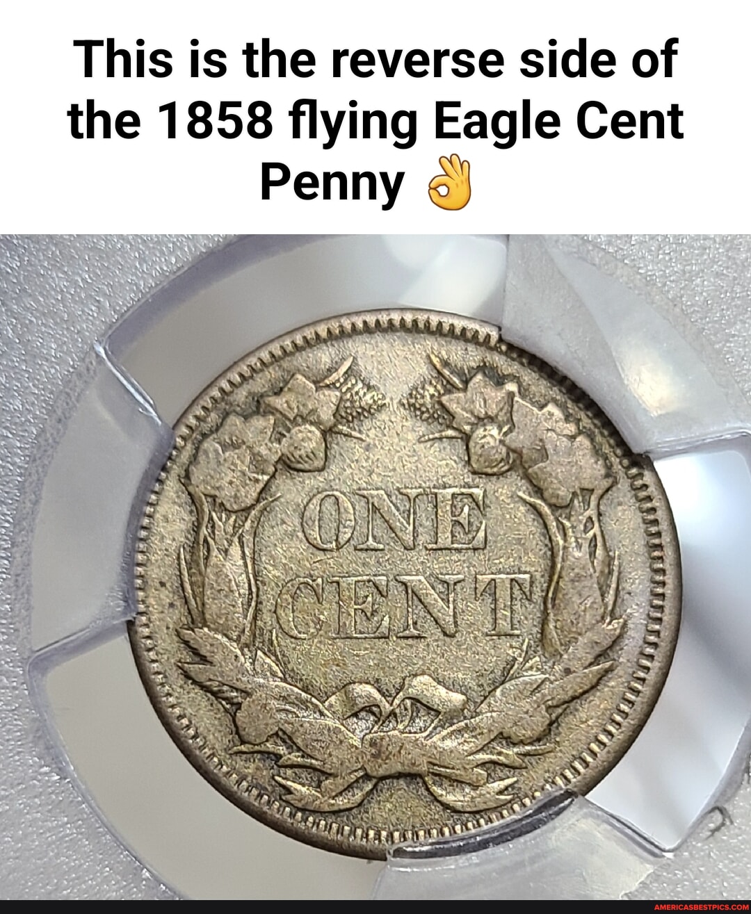 This is the reverse side of the 1858 flying Eagle Cent Penny - America ...