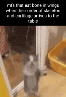 Cartilage memes. Best Collection of funny Cartilage pictures on iFunny