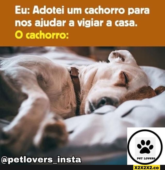 Eu: Adotei um cachorro para nos ajudar a vigiar a casa. O cachorro ...
