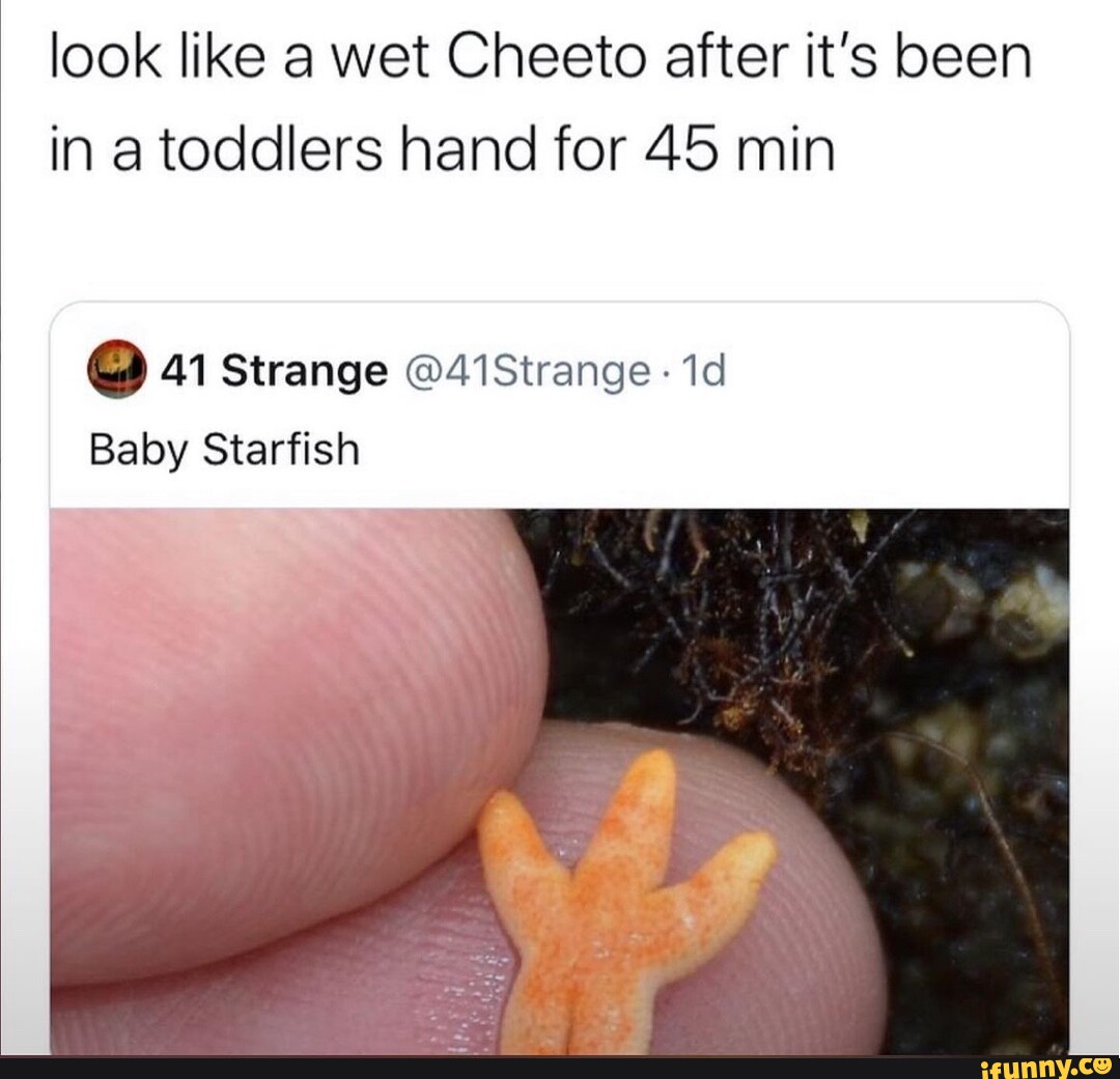 Look like a wet Cheeto after it's been in a toddlers hand for 45 min 41 ...