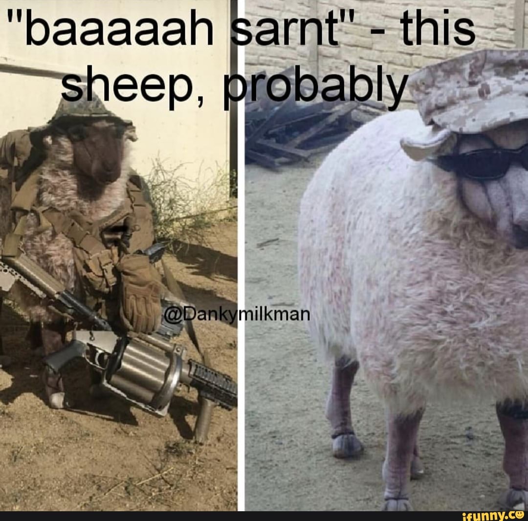 Bahaha Sheep Memes