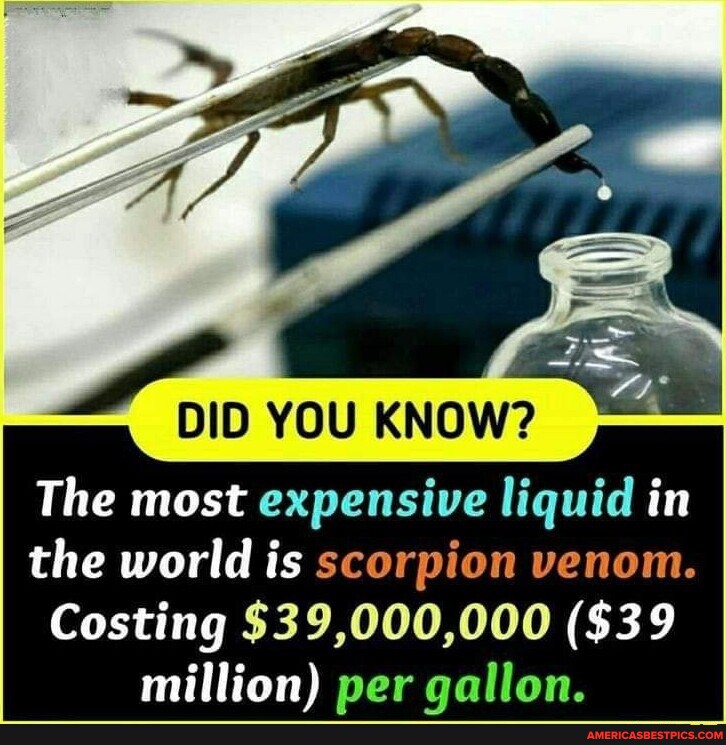 YOU The most expensive liquid in the world is scorpion venom. Costing ...