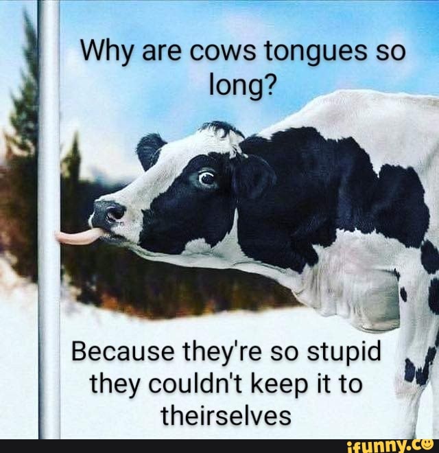Longtongue memes. Best Collection of funny Longtongue pictures on iFunny