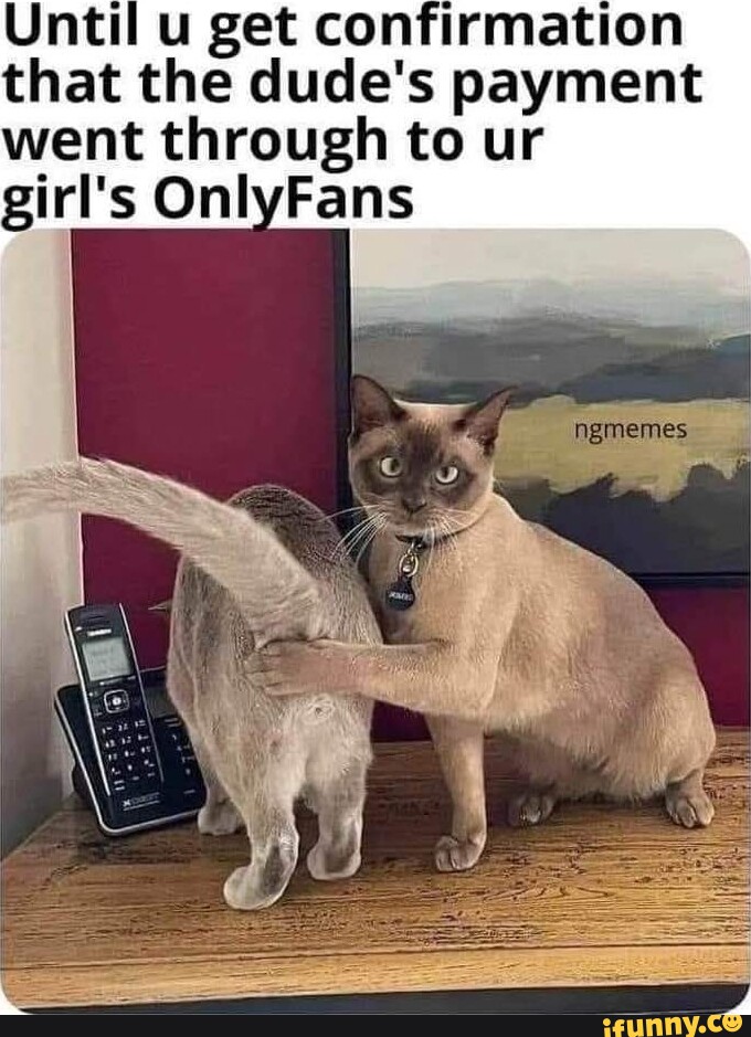 Payment memes. Best Collection of funny Payment pictures on iFunny