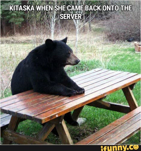 Kitaska memes. Best Collection of funny Kitaska pictures on iFunny