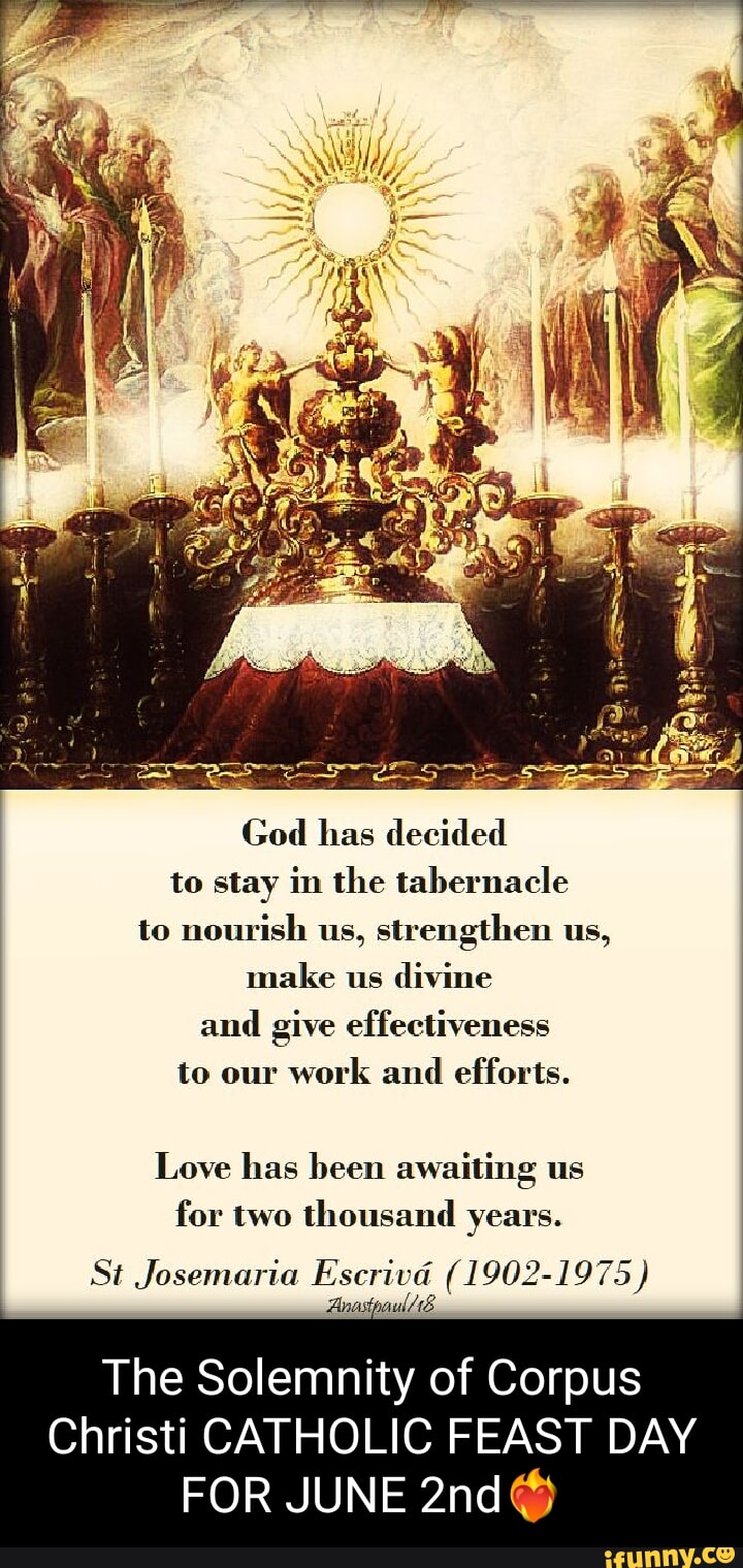 Divine memes. Best Collection of funny Divine pictures on iFunny