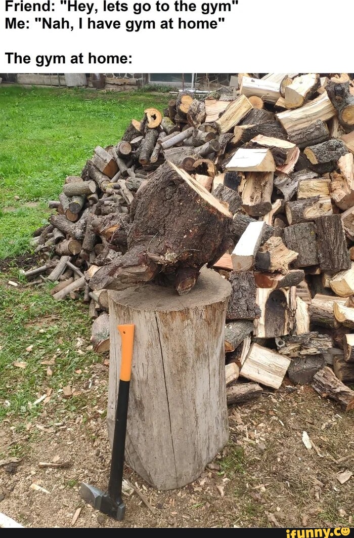 Godzilla when Godzilla is destroying Japan. Godzilla when literally ...