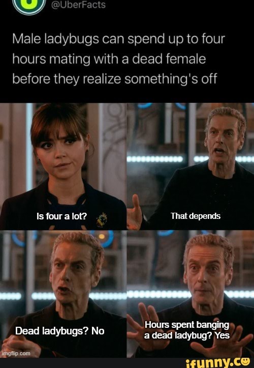 Male ladybugs can spend up to four hours mating with a dead female ...