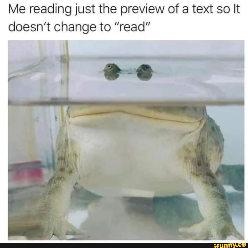 Google Translate English ENGLISH fifty ten hull Camera Conversation ...