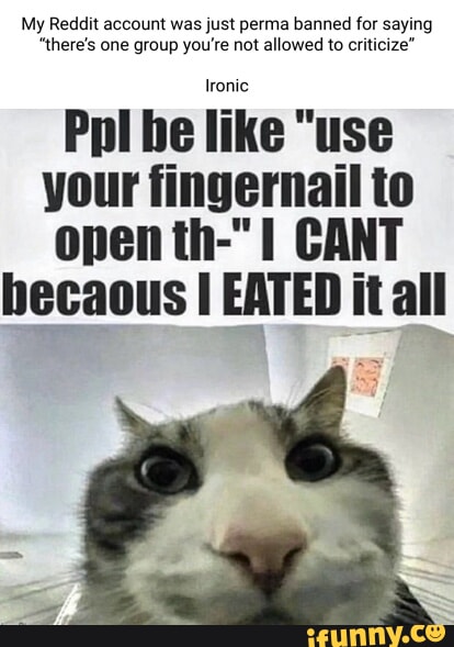 Perma memes. Best Collection of funny Perma pictures on iFunny