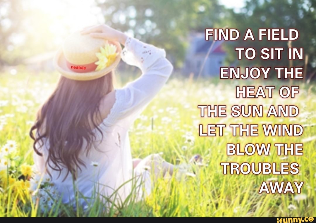 Windblown memes. Best Collection of funny Windblown pictures on iFunny