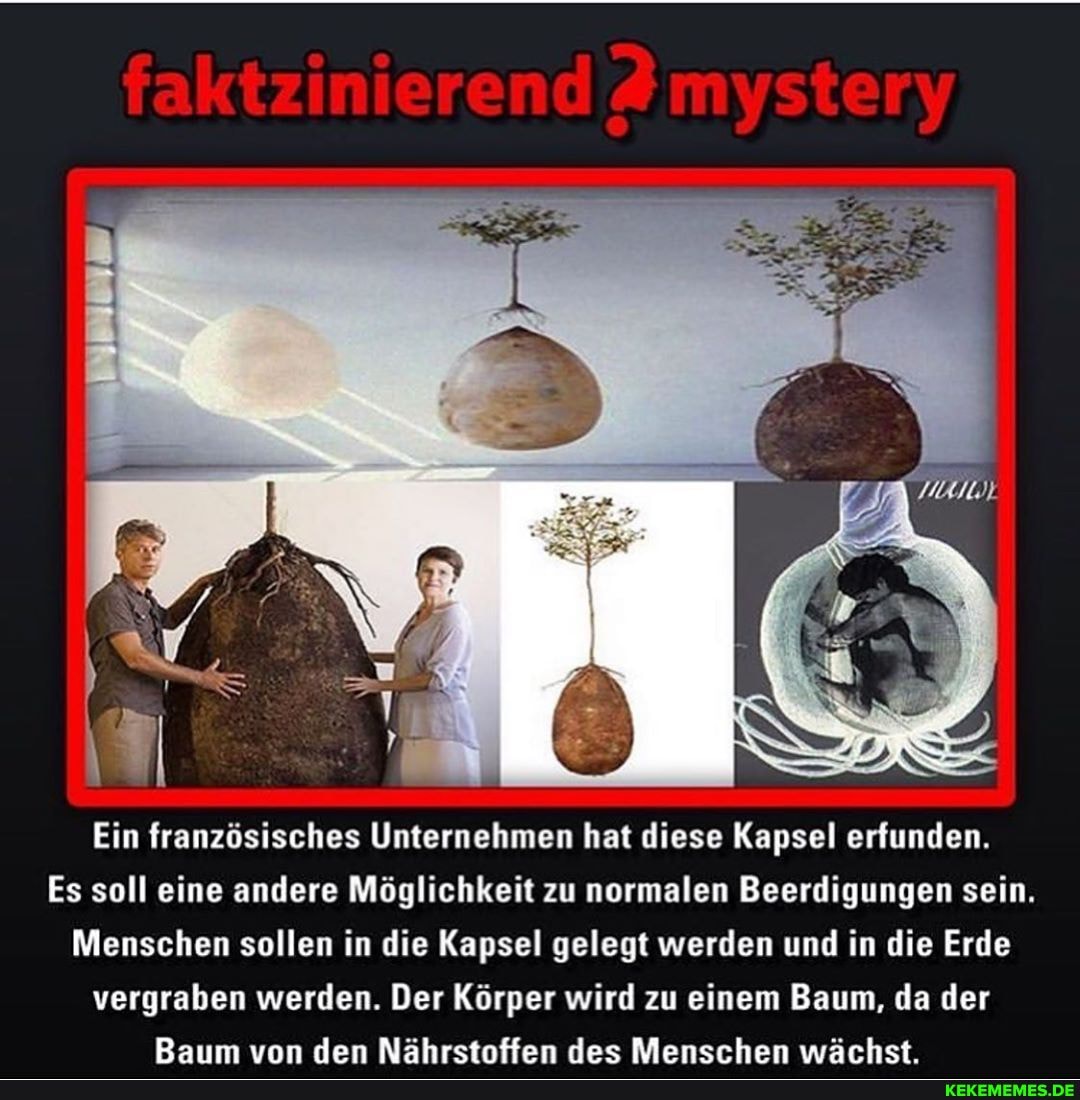 Ein französisches Unternehmen hat diese Kapsel erfunden. Es soll eine ...