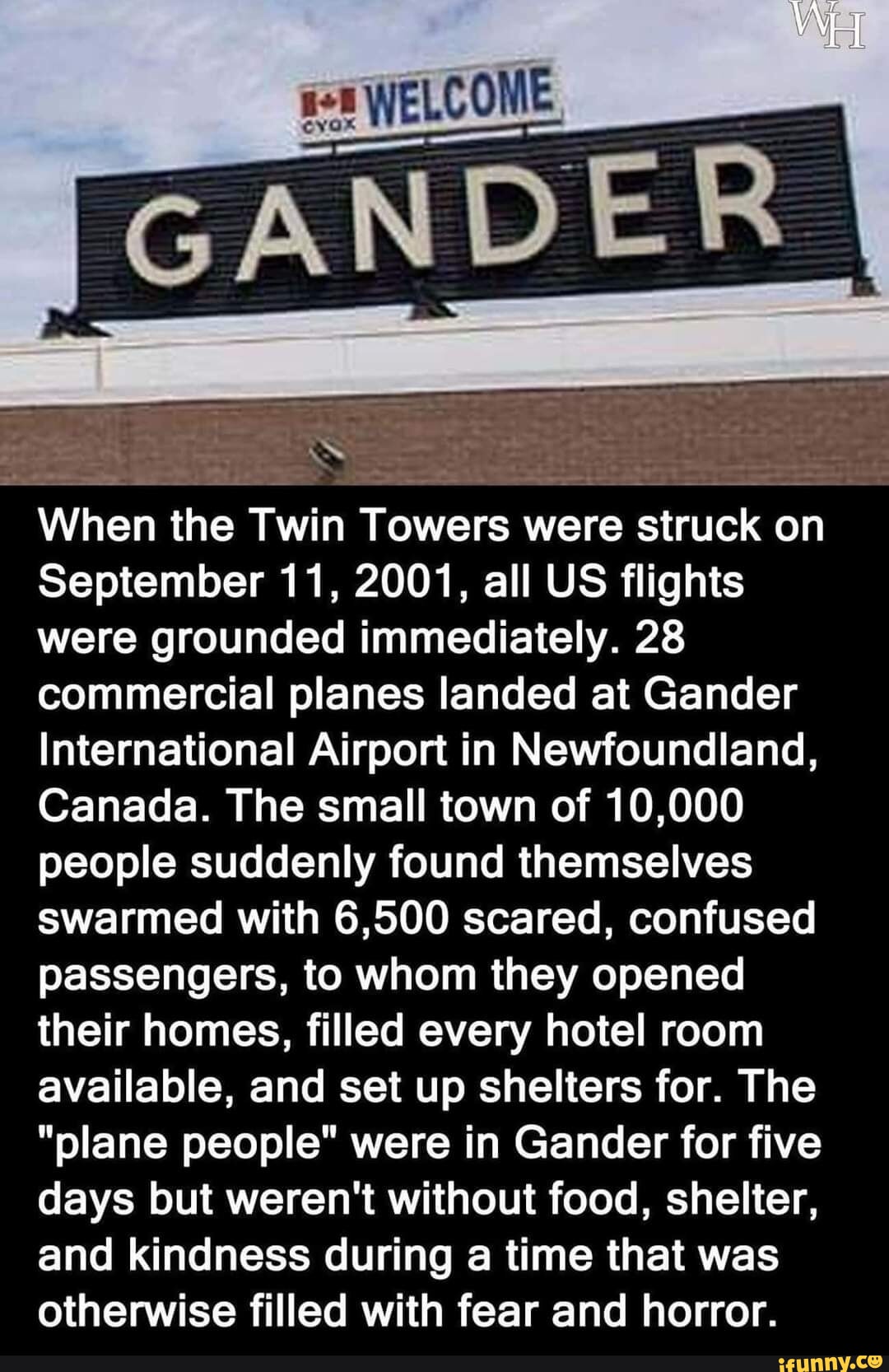 Gander memes. Best Collection of funny Gander pictures on iFunny