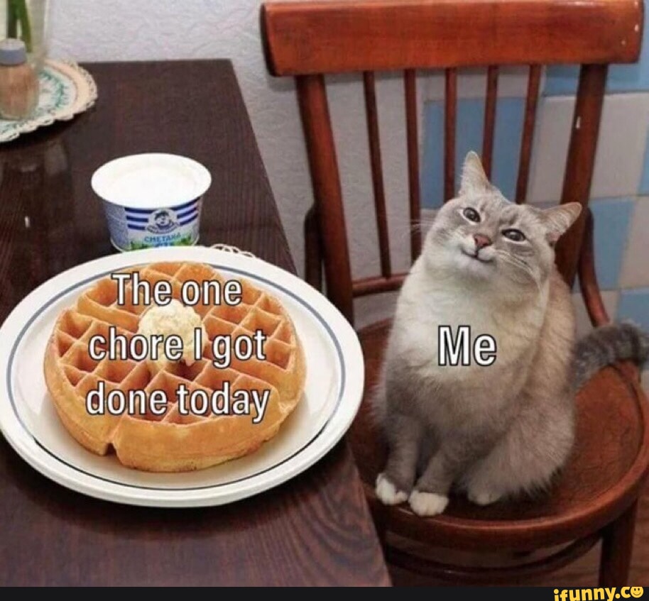 Done memes. Best Collection of funny Done pictures on iFunny