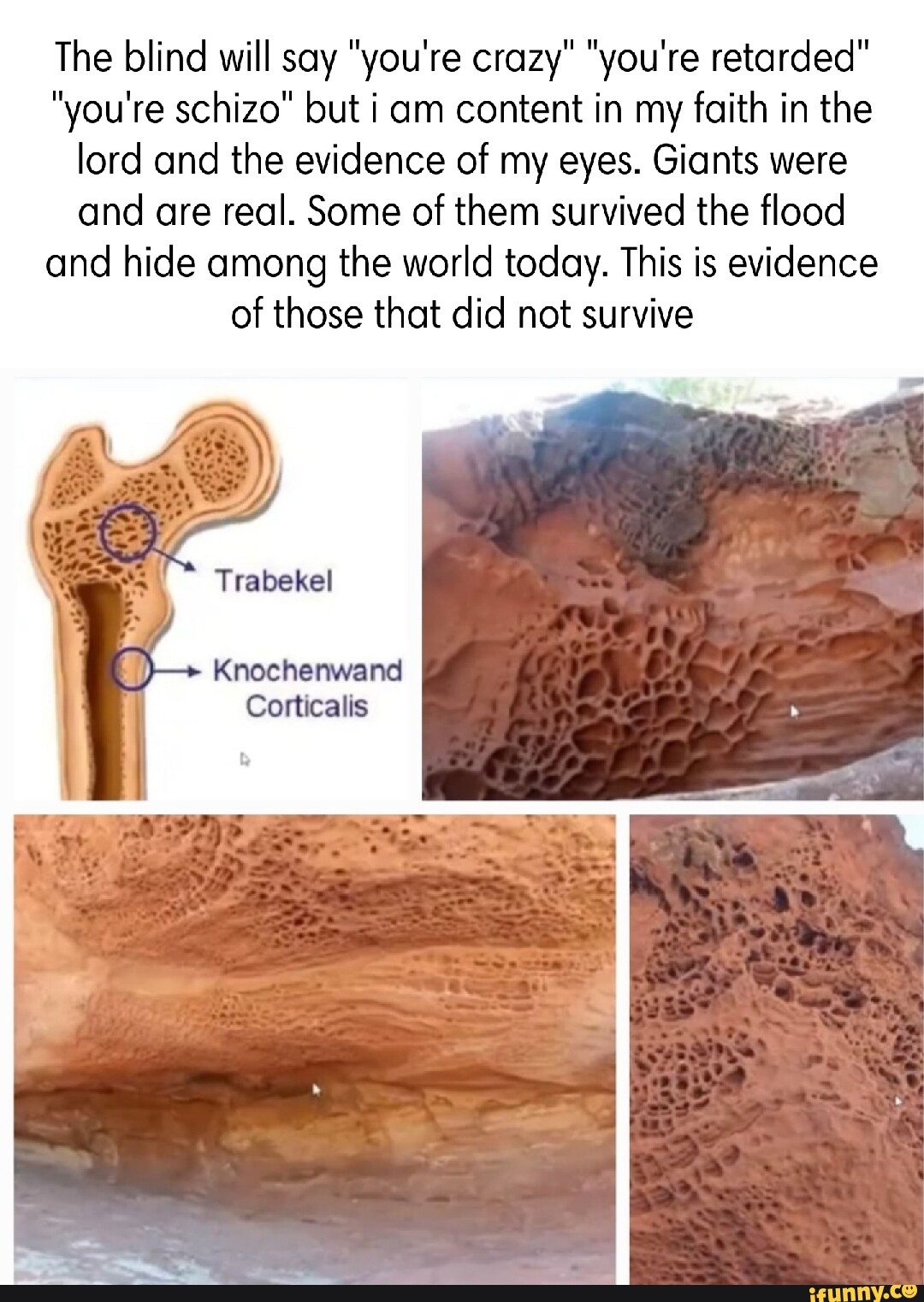 Petrification memes. Best Collection of funny Petrification pictures on ...