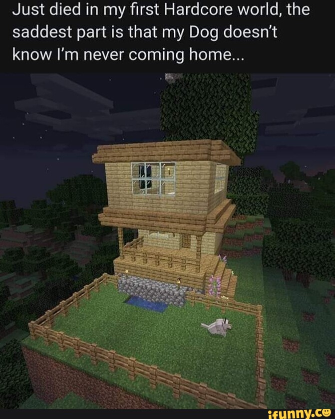 Just died in my first Hardcore world, the saddest part is that my Dog ...