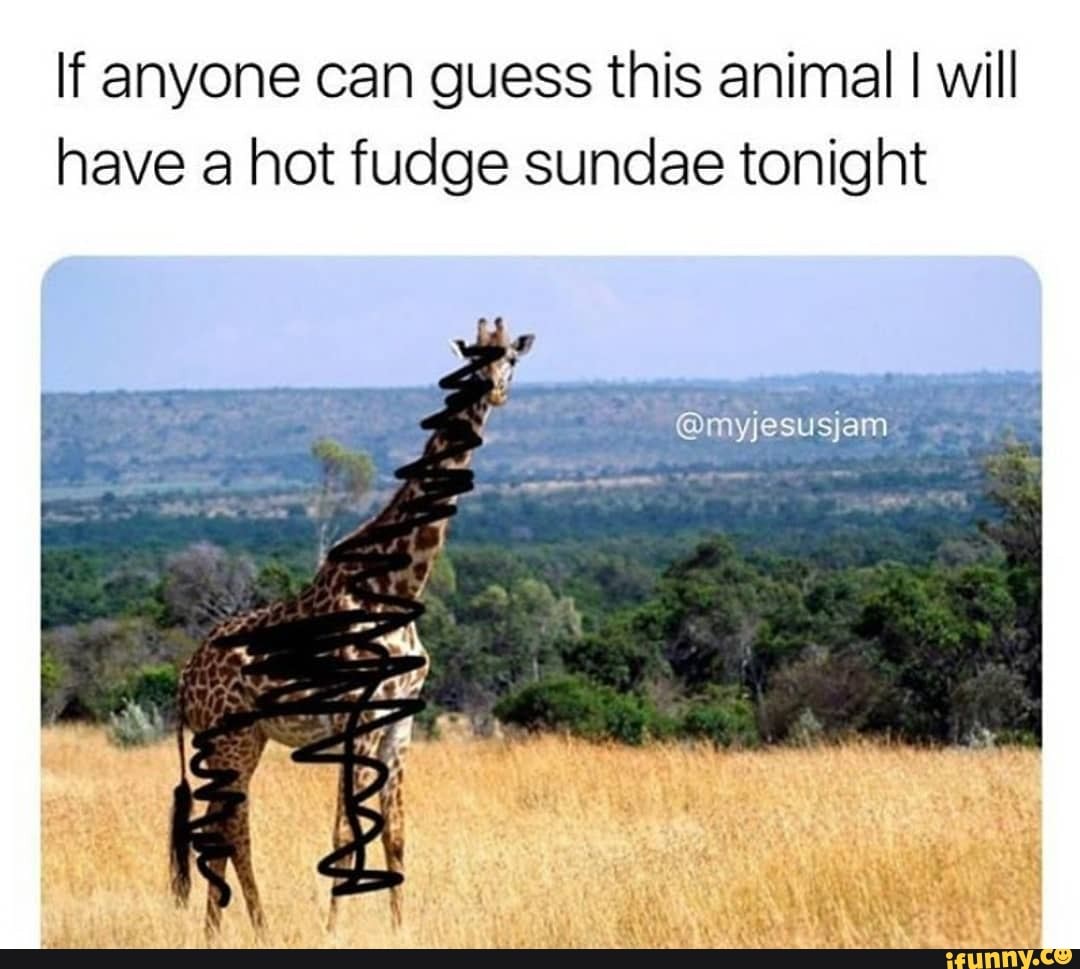 If anyone can guess this animal I will have a hot fudge sundae tonight ...