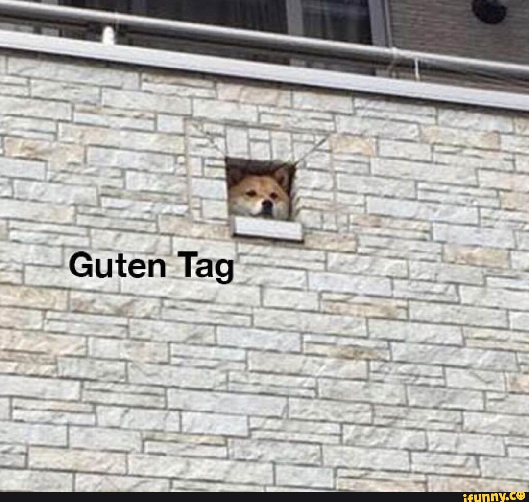 Picture memes gfezd80TA by im_only_original: 19 comments - iFunny