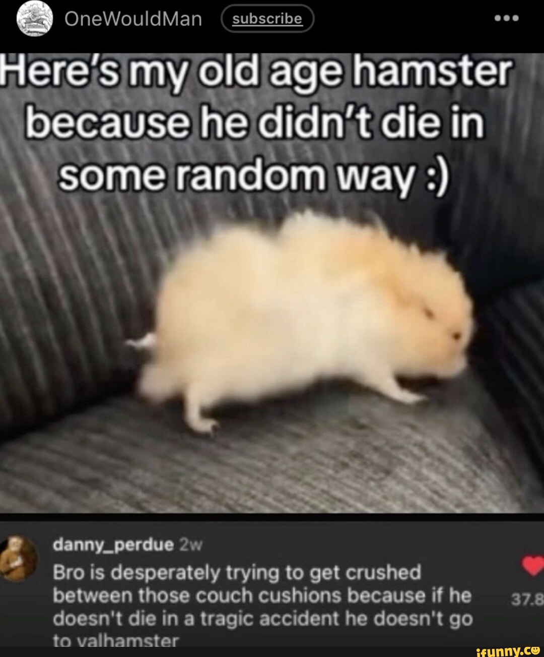 Desperately memes. Best Collection of funny Desperately pictures on iFunny