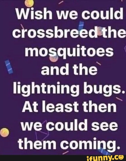 Crossbreed memes. Best Collection of funny Crossbreed pictures on iFunny