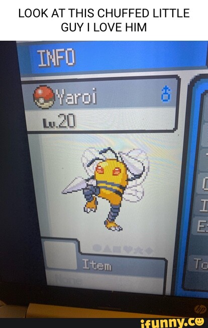 Chuffed memes. Best Collection of funny Chuffed pictures on iFunny